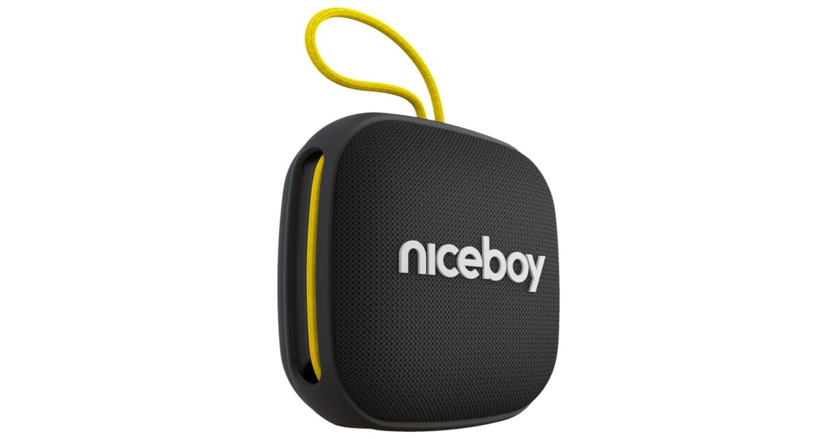 Niceboy RAZE Mini 4